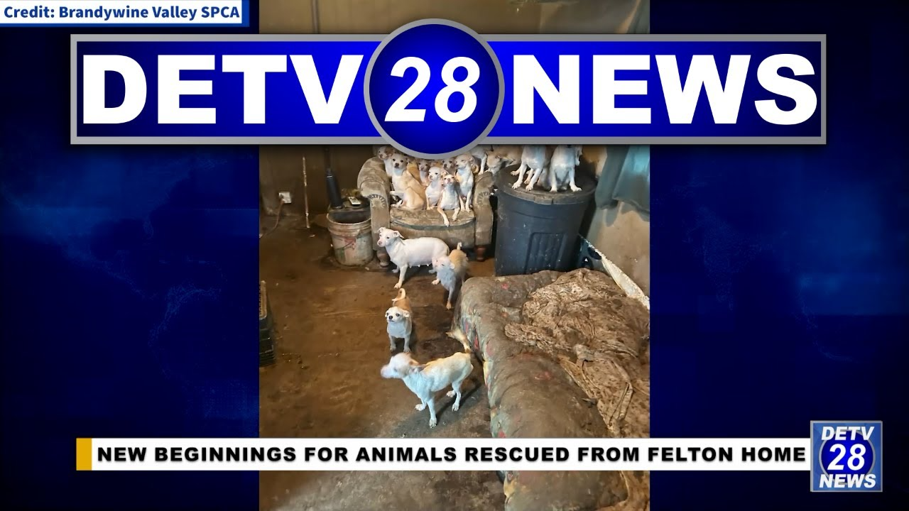 DETV News Brief for February 6, 2024 - DETVCH